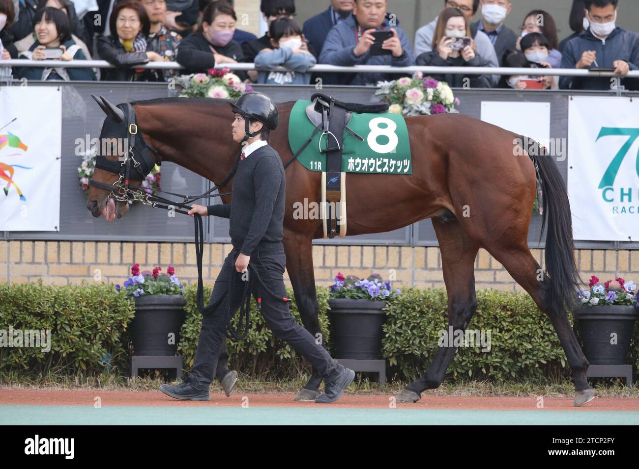 Aichi, Japan. 9th Dec, 2023. 2023/12/09 CHUKYO 11R THE CHUNICHI SHIMBUN ...