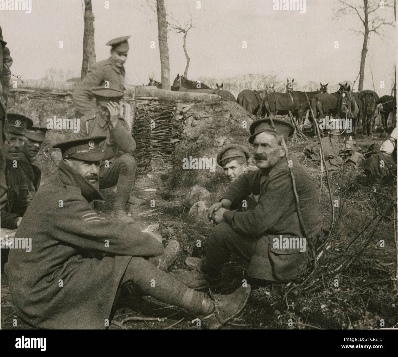 Flanders, October 1915. The English in Flanders. British soldiers ...