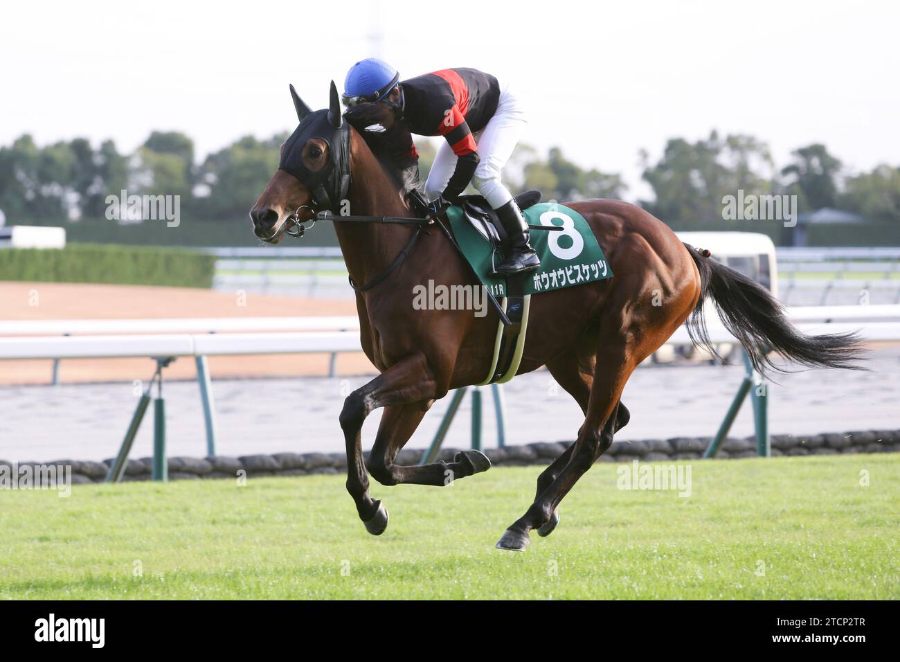 Aichi, Japan. 9th Dec, 2023. 2023/12/09 CHUKYO 11R THE CHUNICHI SHIMBUN ...