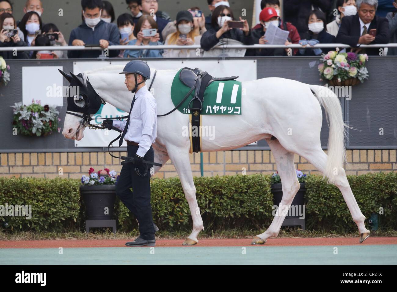 Aichi, Japan. 9th Dec, 2023. 2023/12/09 CHUKYO 11R THE CHUNICHI SHIMBUN ...