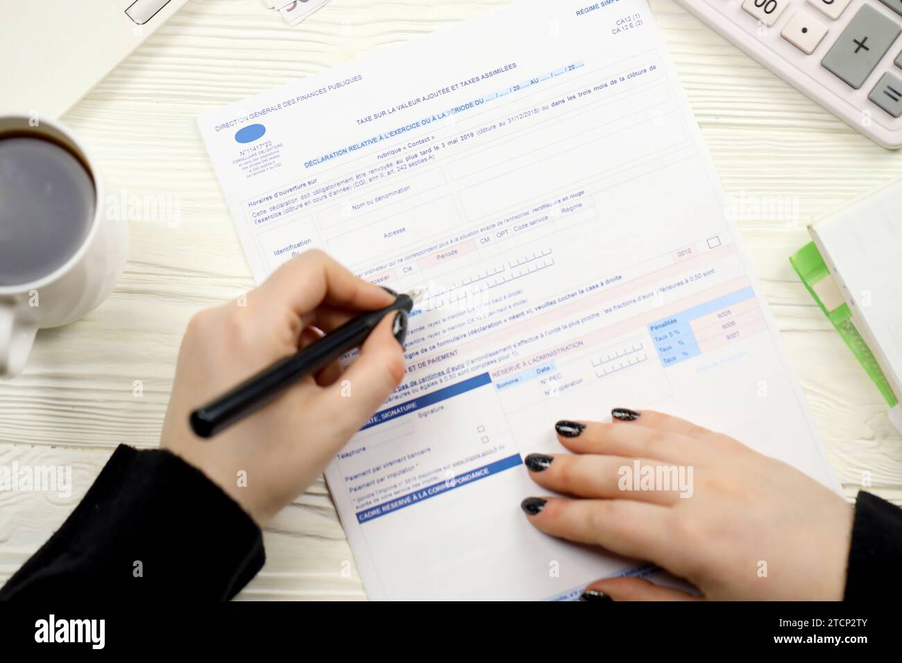 Accountant fill french tax form CA12 Value added tax and similar taxes ...