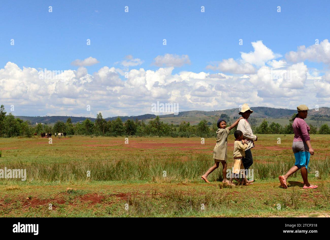 Local villagers walking along the roads in Madagascar Stock Photo - Alamy