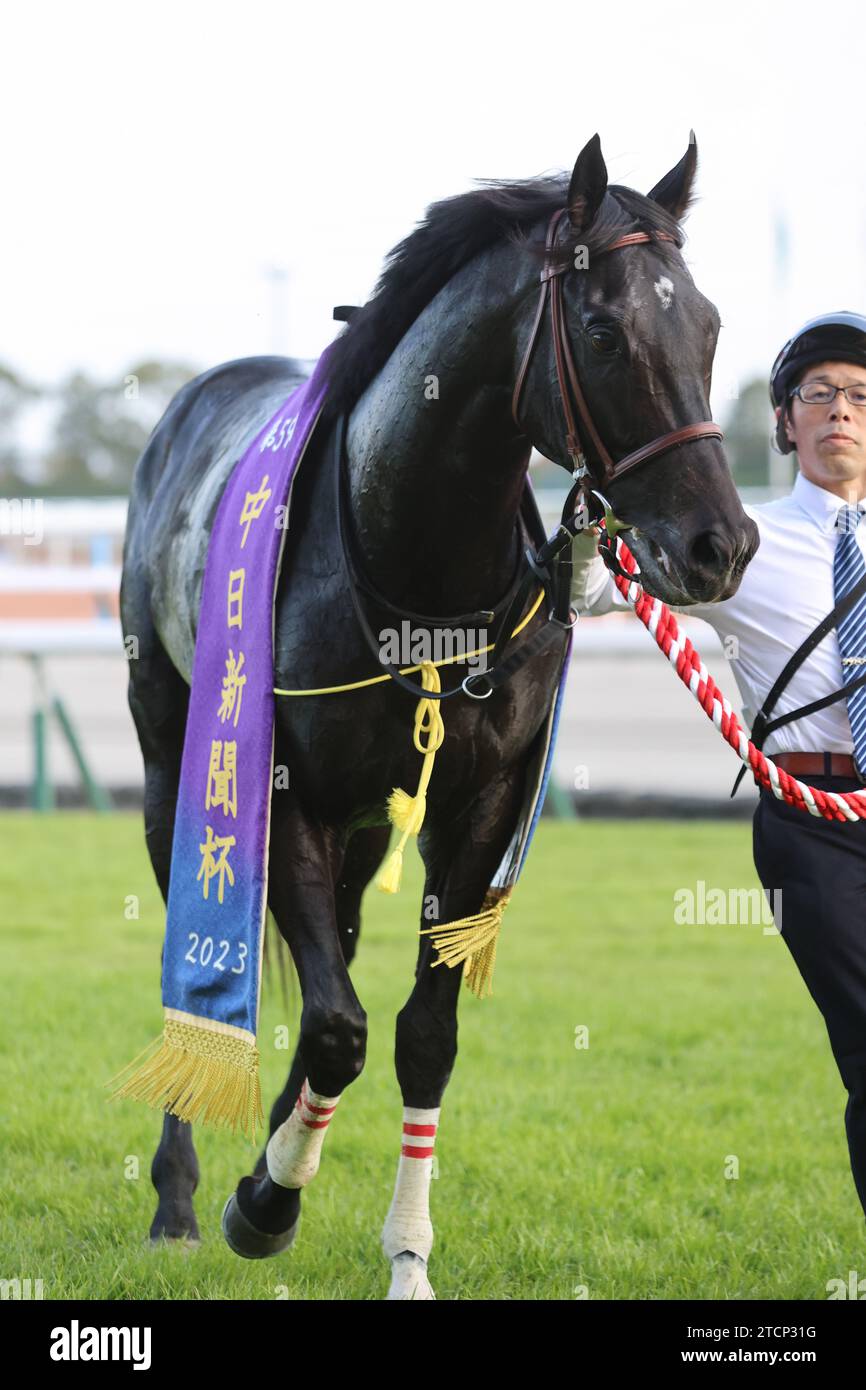 Aichi, Japan. 9th Dec, 2023. 2023/12/09 CHUKYO 11R THE CHUNICHI SHIMBUN ...