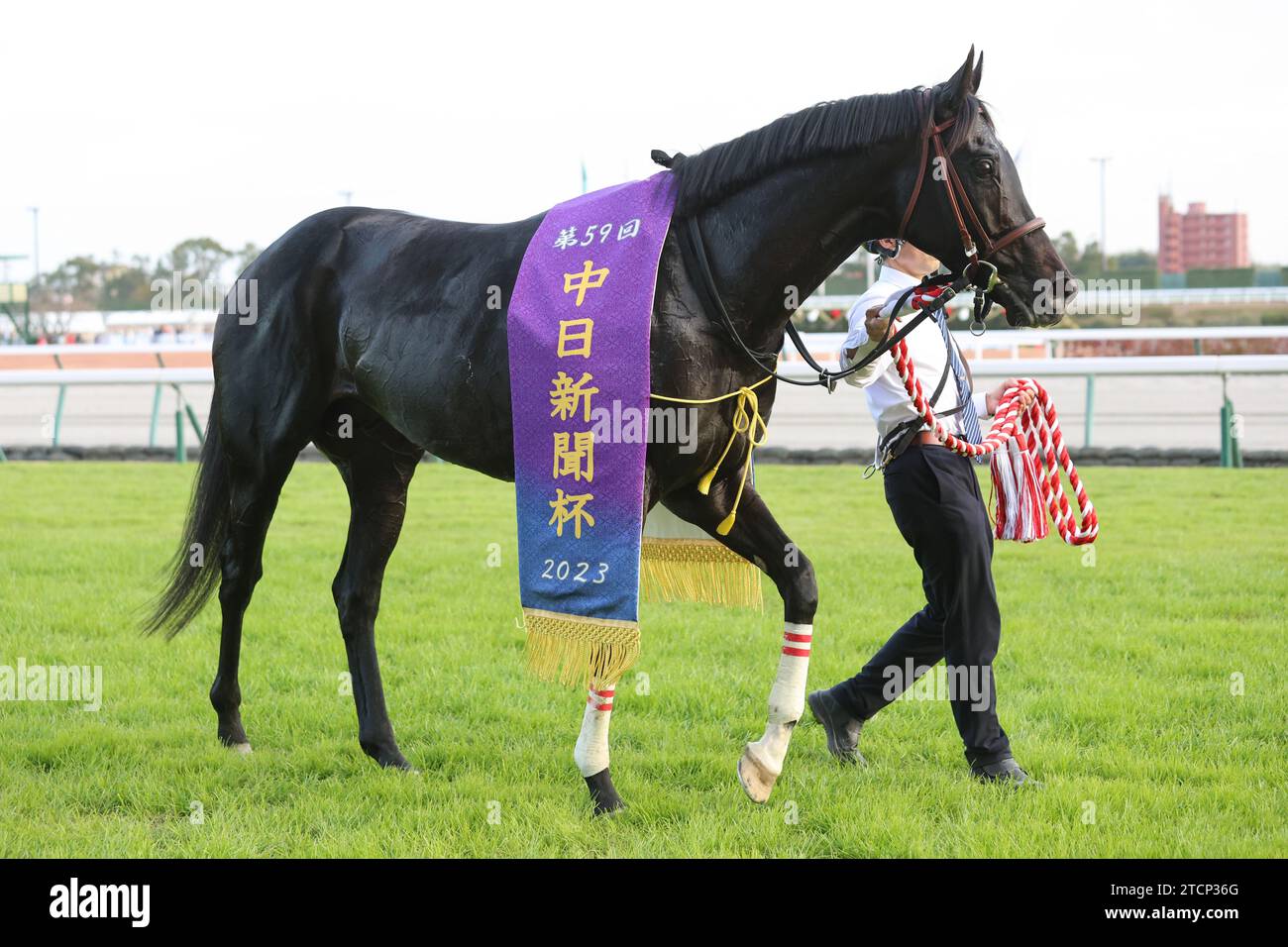 Aichi, Japan. 9th Dec, 2023. 2023/12/09 CHUKYO 11R THE CHUNICHI SHIMBUN ...
