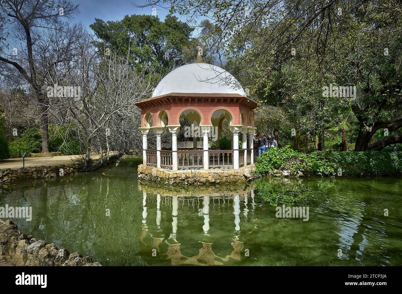 Seville, 03/15/2013. Spring in María Luisa park. In the image, the Duck ...