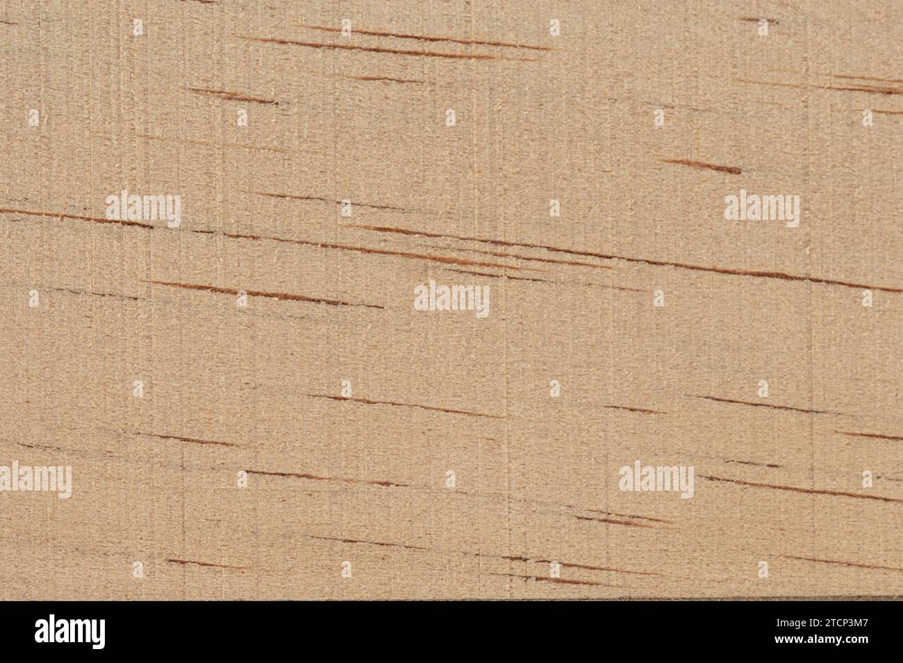 Plank wooden plank hi-res stock photography and images - Alamy