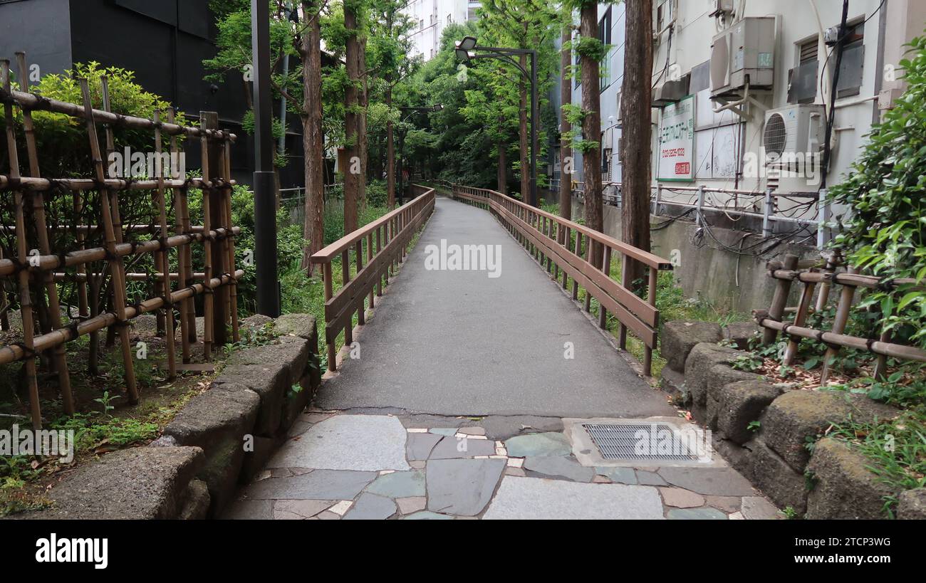 various images from a trip to Tokyo and hiroshima featuring food ...