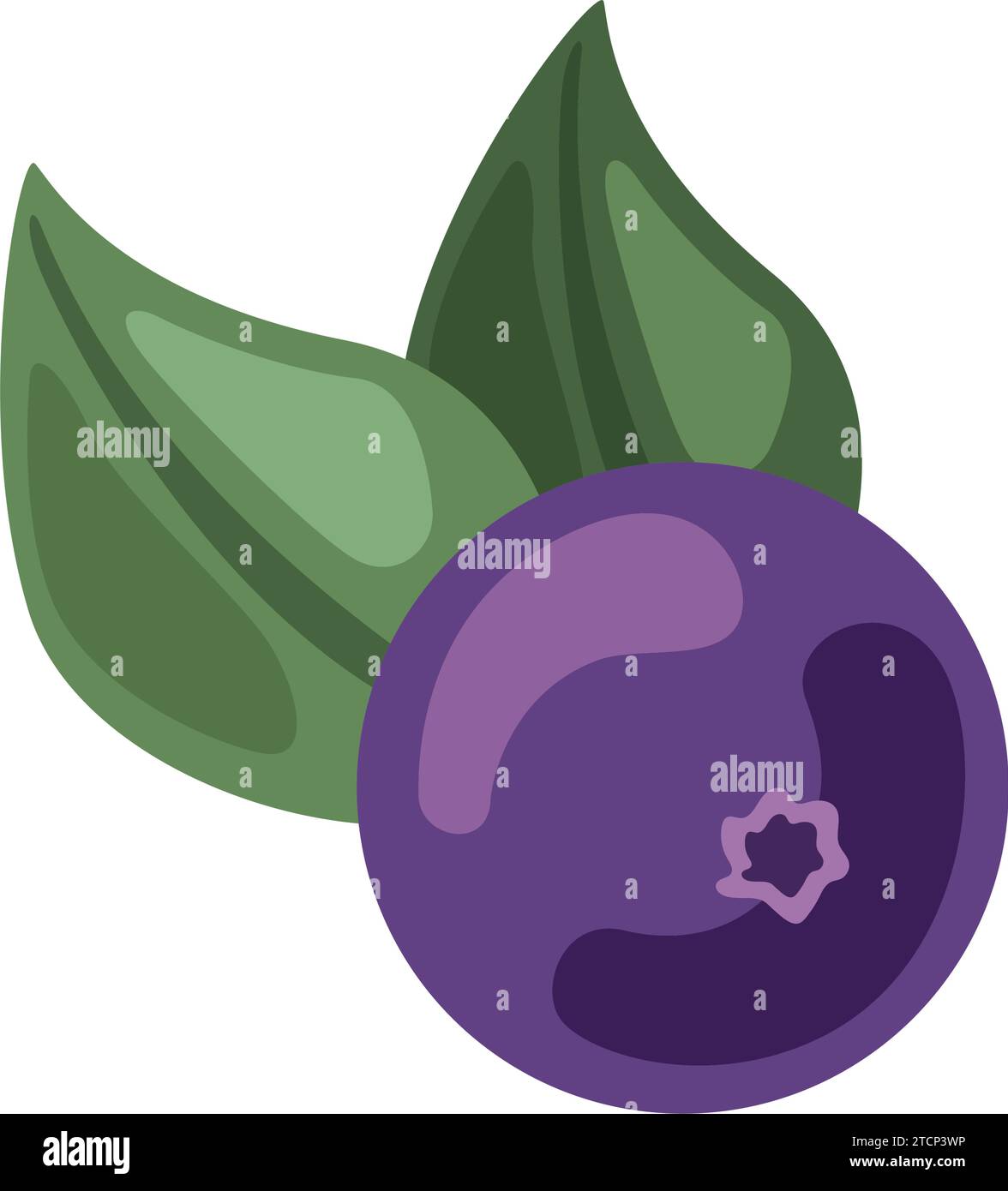 acai berry illustration vector isolated Stock Vector Image & Art - Alamy