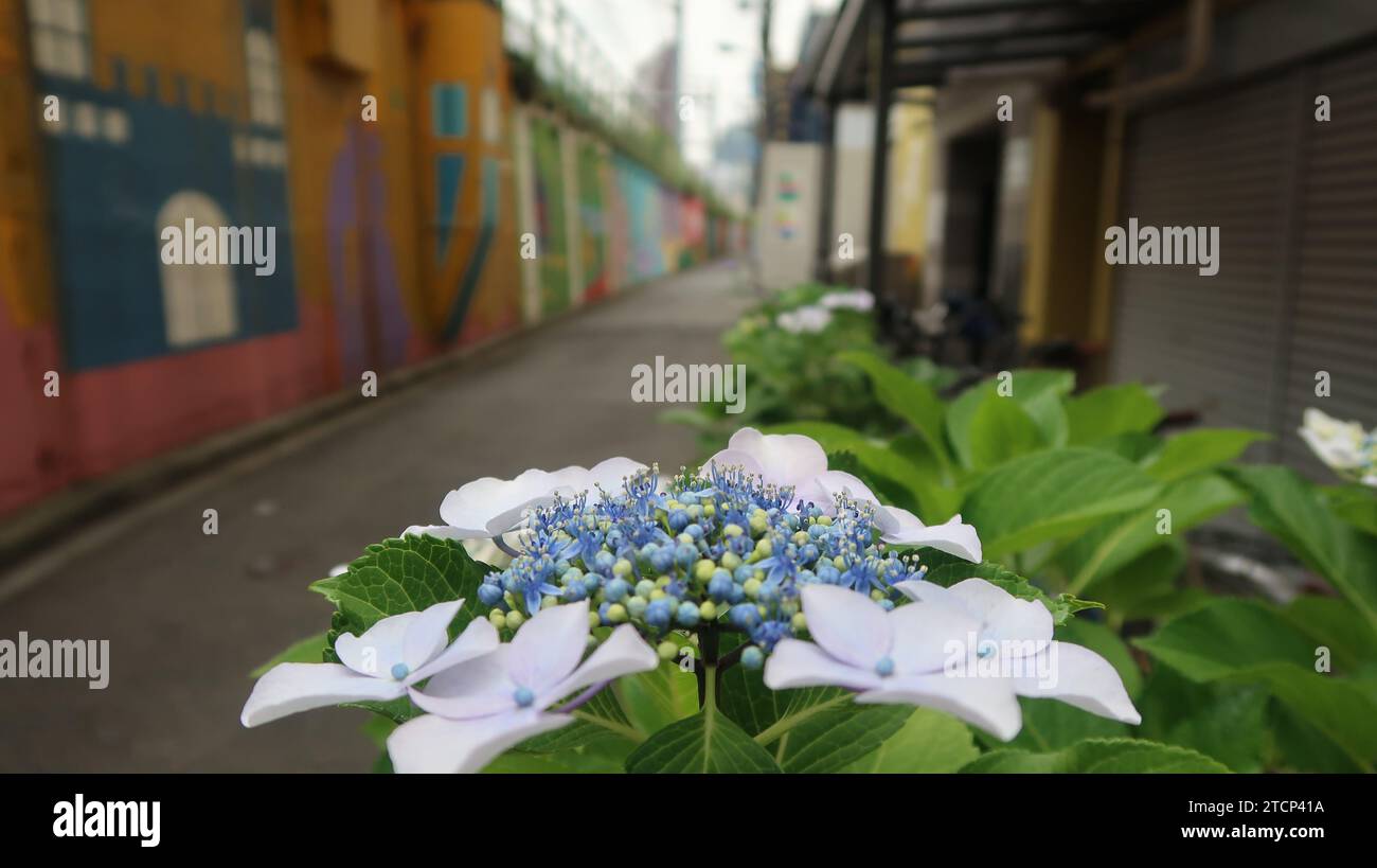 various images from a trip to Tokyo and hiroshima featuring food ...