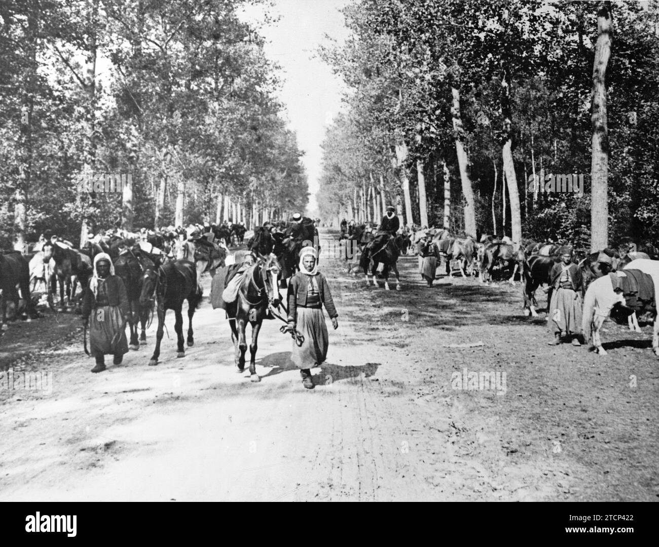 10/31/1914. French Colonial Troops. Spahis on the move after an Action ...