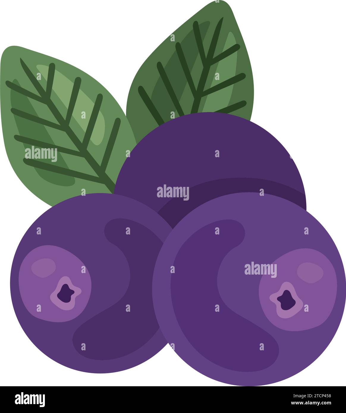 acai berries design vector isolated Stock Vector Image & Art - Alamy