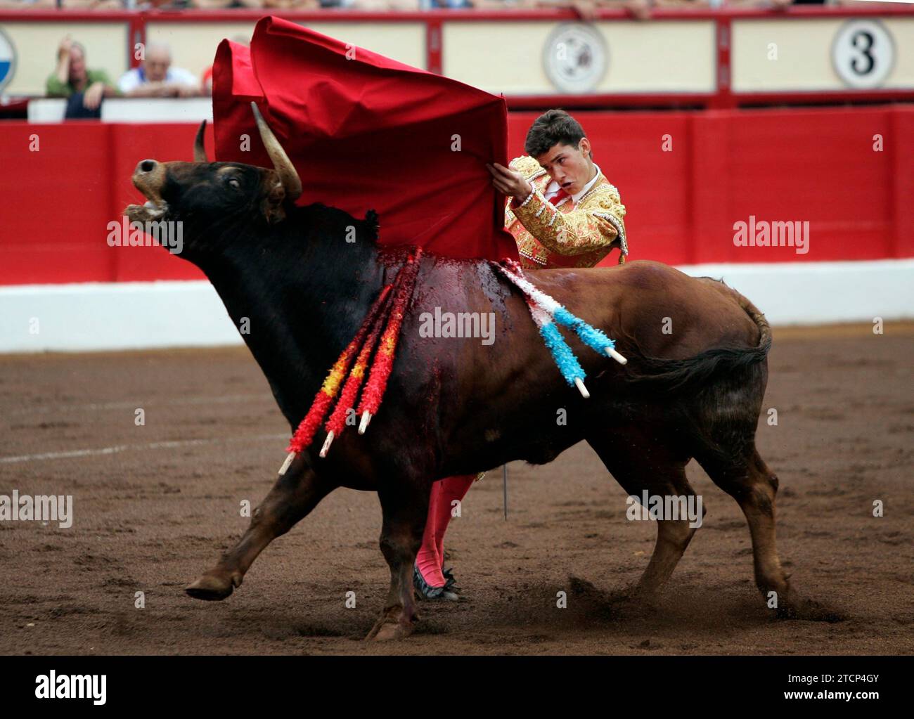 A arce hi-res stock photography and images - Alamy