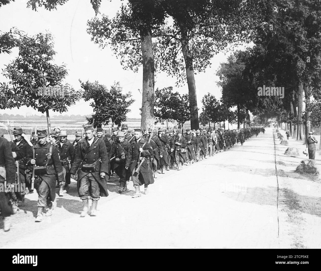 07/31/1914. Belgian Troops on the March. A Belgian Infantry Column ...