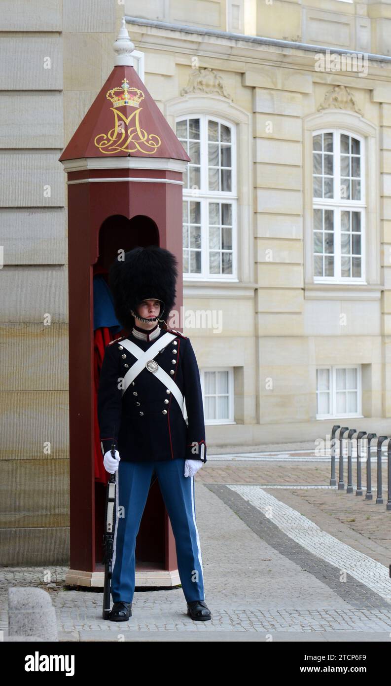 A Danish Royal Guard standing at his post at the Amalienborg castle in ...