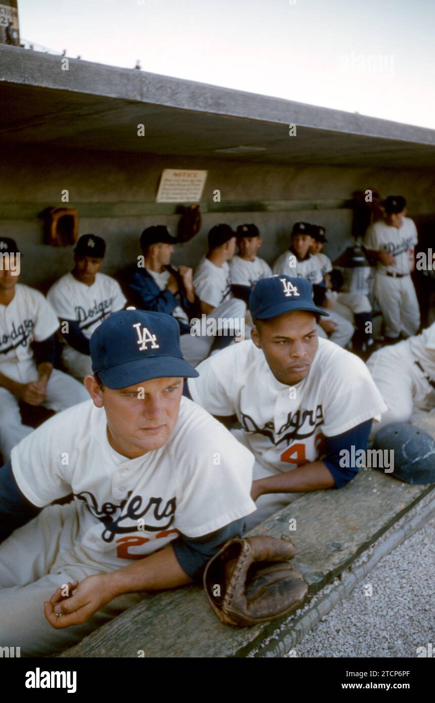 Don zimmer hi-res stock photography and images - Alamy