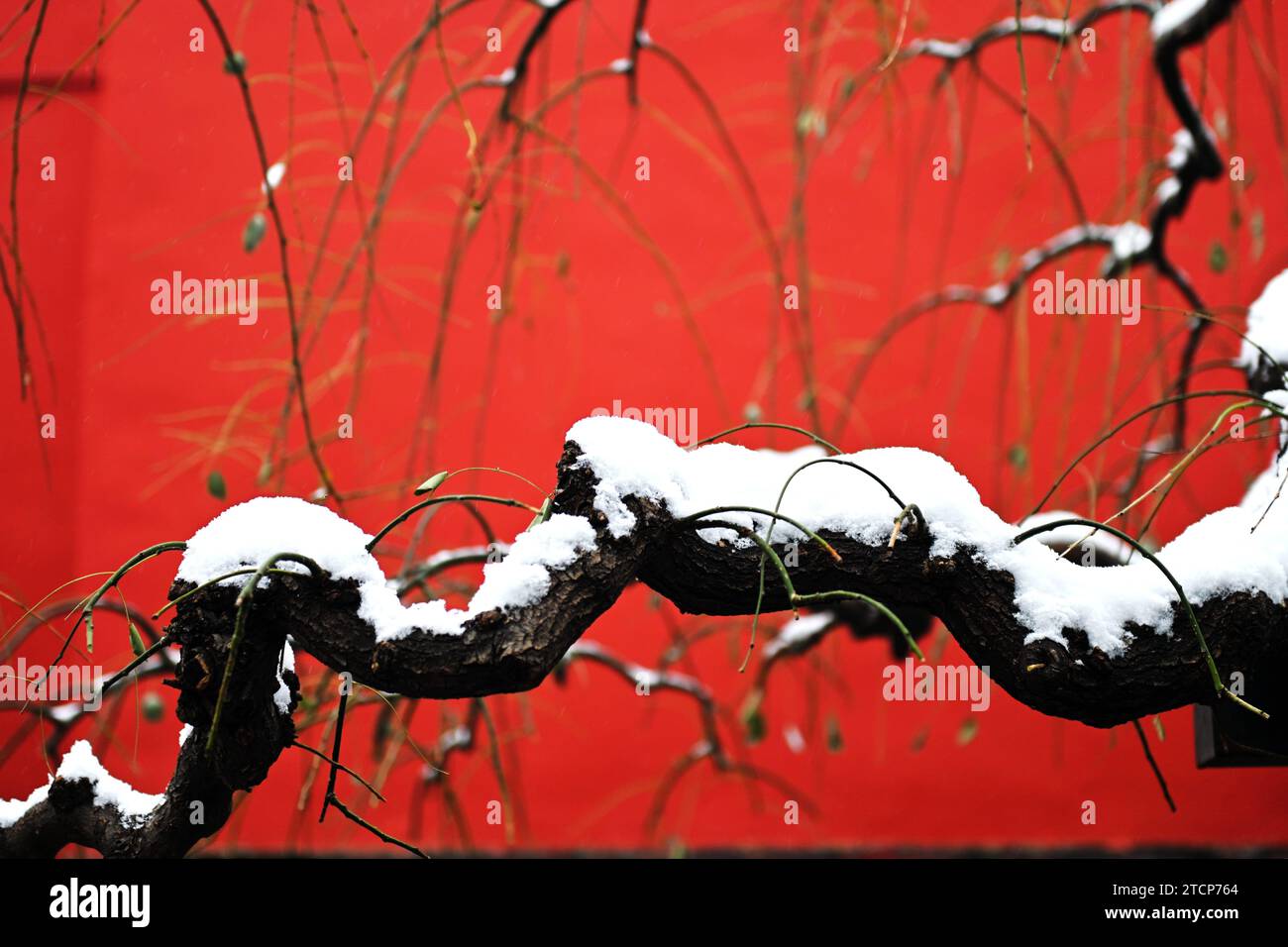 BEIJING, CHINA - DECEMBER 13, 2023 - Snow view of the Forbidden City in ...