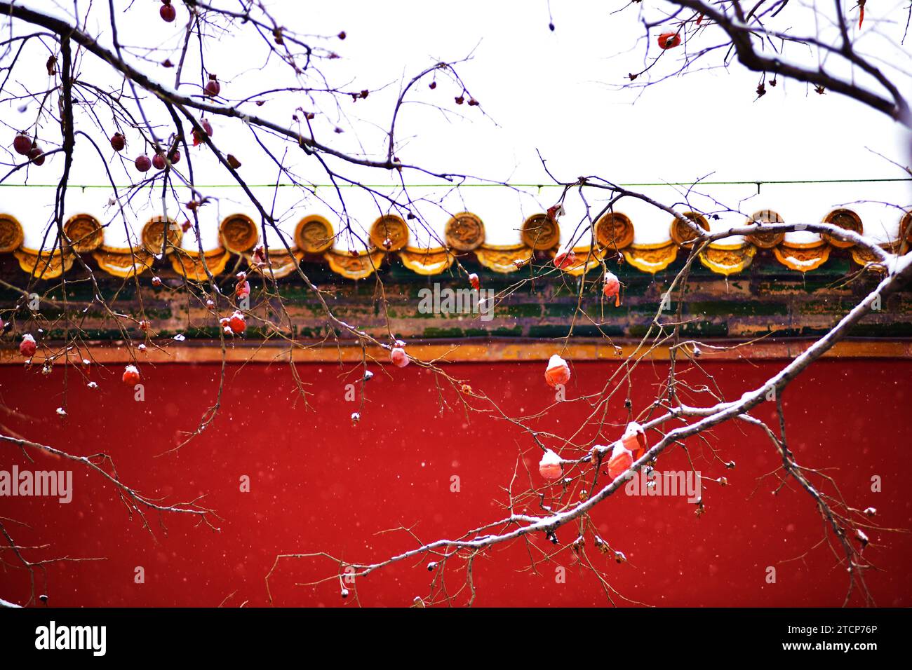BEIJING, CHINA - DECEMBER 13, 2023 - Snow view of the Forbidden City in ...
