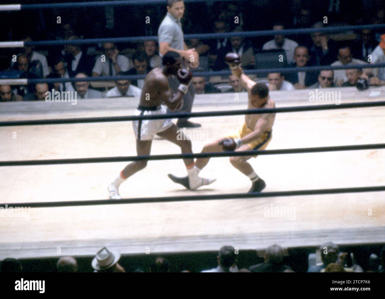 JULY, 1963: General view of an unidentified boxer being knocked down ...