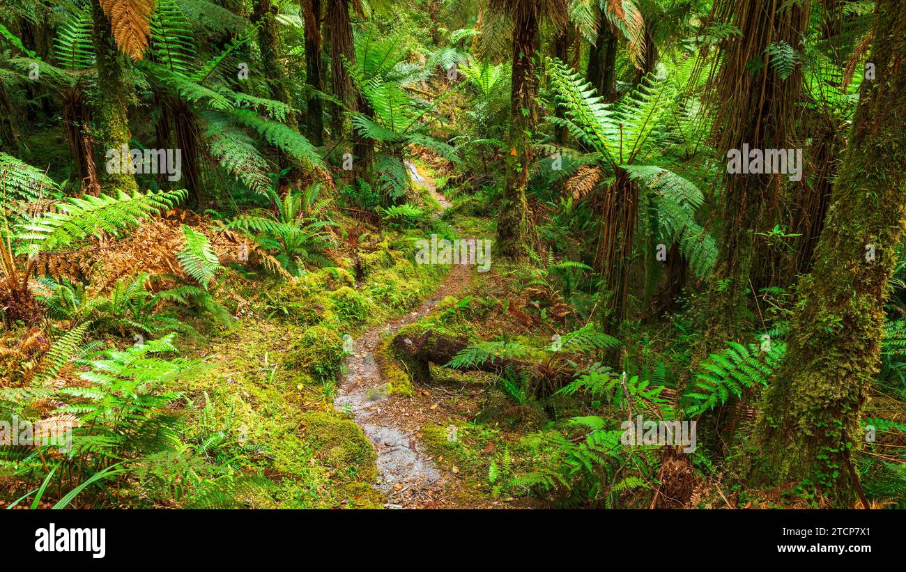 Tutoko river track hi-res stock photography and images - Alamy