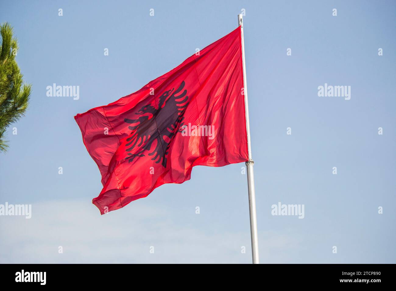 Flamuri I Shqiperise Logo Në Drejtimin E Kryetarit, Z.Eduard Shalsi,