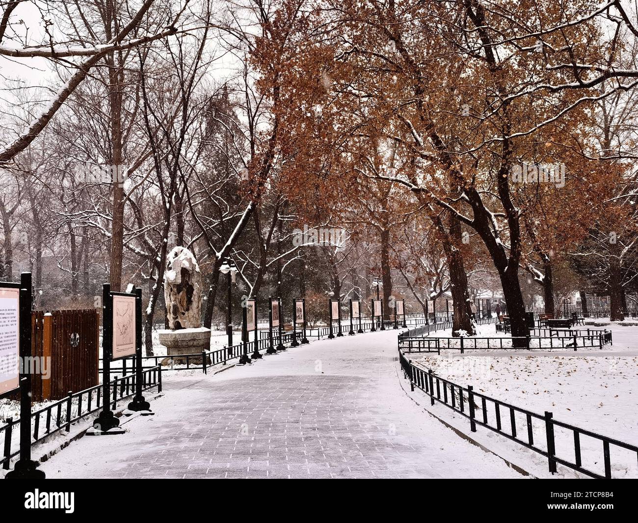 Beijing, Beijing, China. 14th Dec, 2023. On December 13, 2023, heavy ...