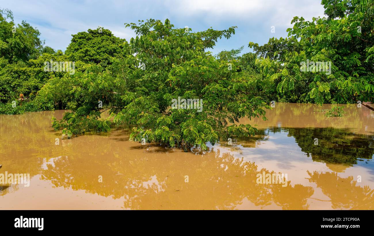 Floods & Natural Disasters Stock Photo - Alamy