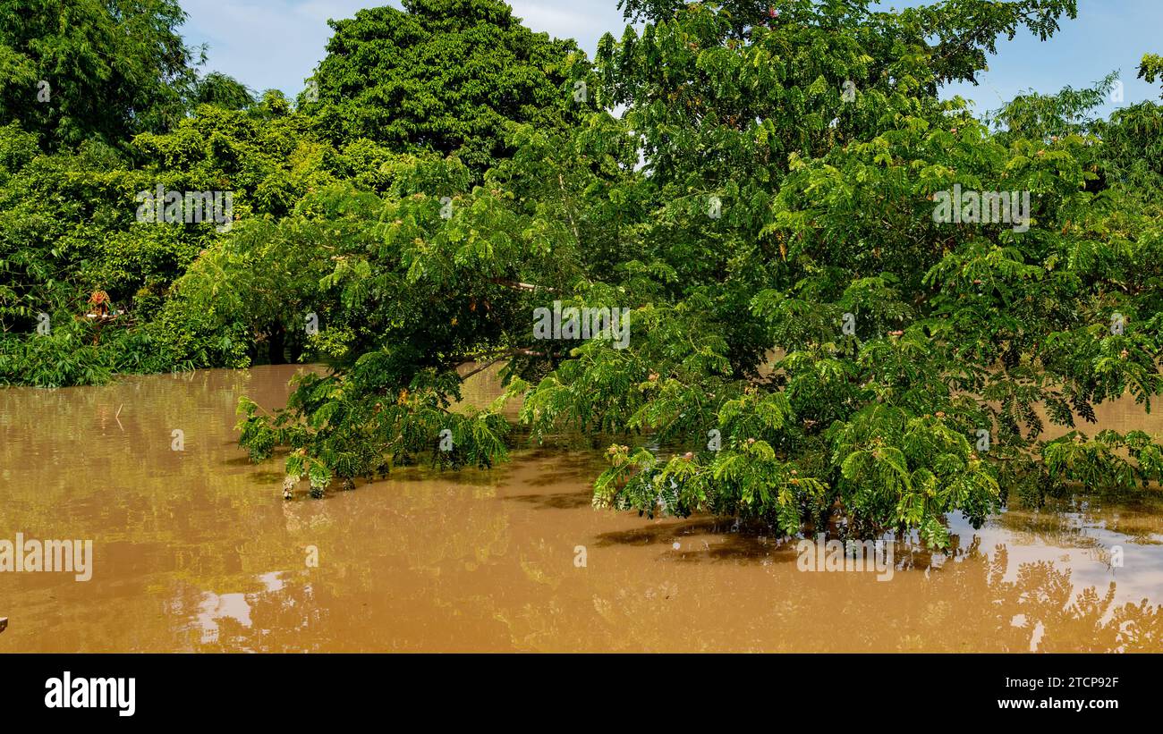 Floods & Natural Disasters Stock Photo - Alamy