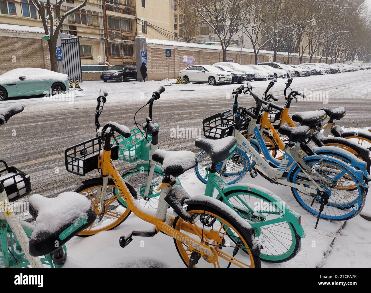 BEIJING, CHINA - DECEMBER 13, 2023 - Snow in Beijing, China, December ...