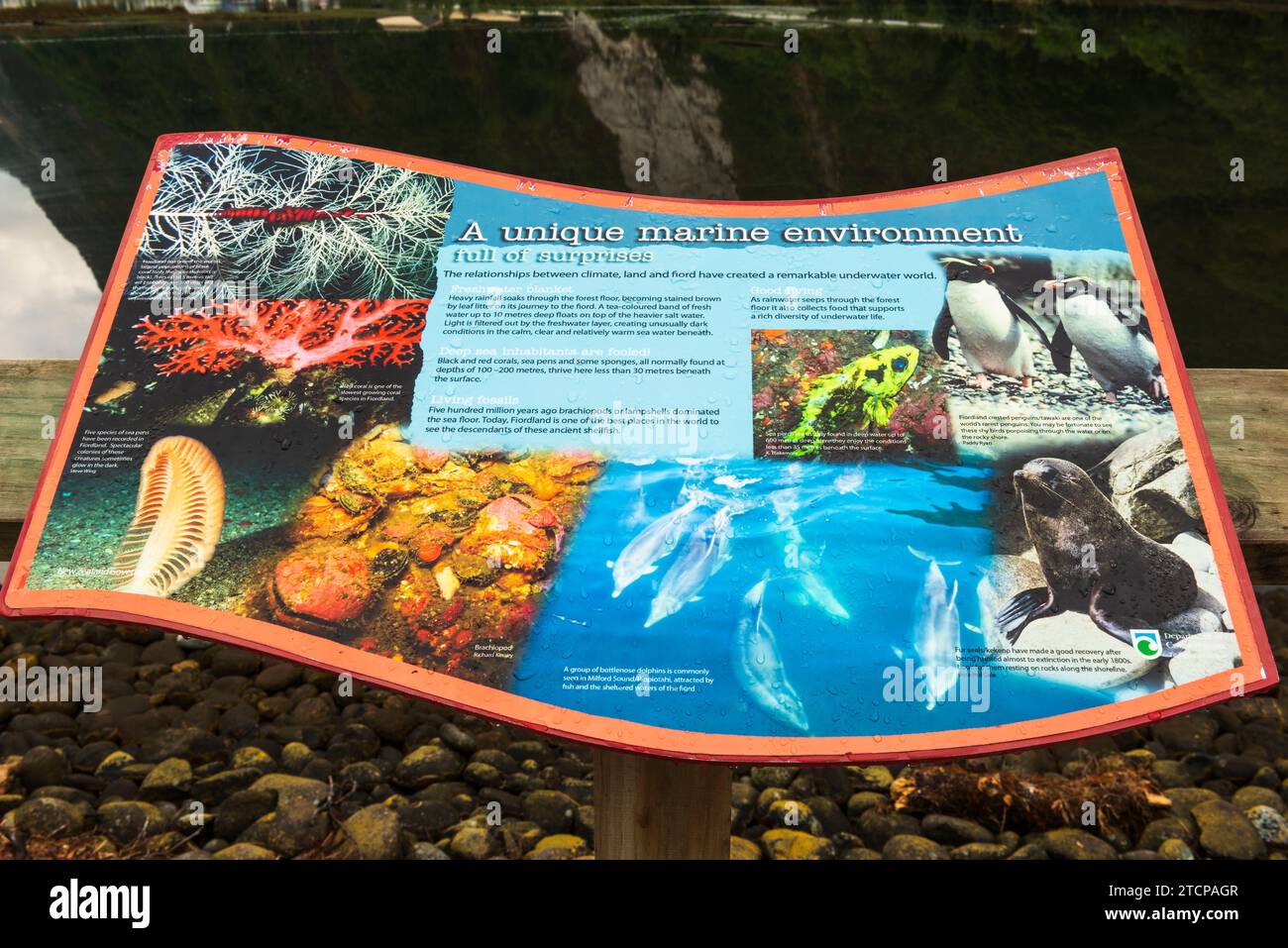 Milford sound interpretive sign hi-res stock photography and images - Alamy