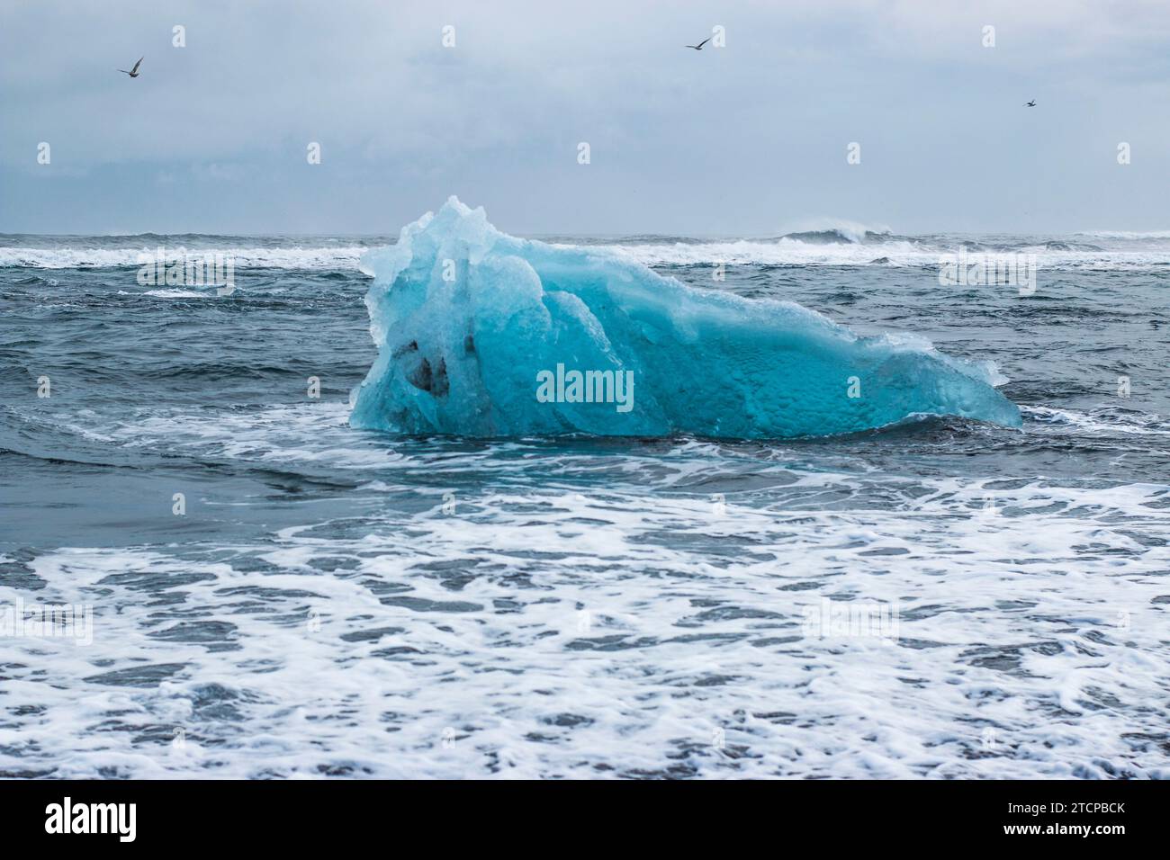 Glacier iceberg floating in the Atlantic ocean on the coast of Iceland ...