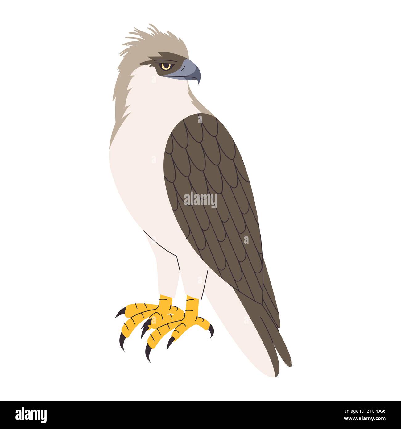 Endangered Cut Out Stock Images & Pictures - Alamy