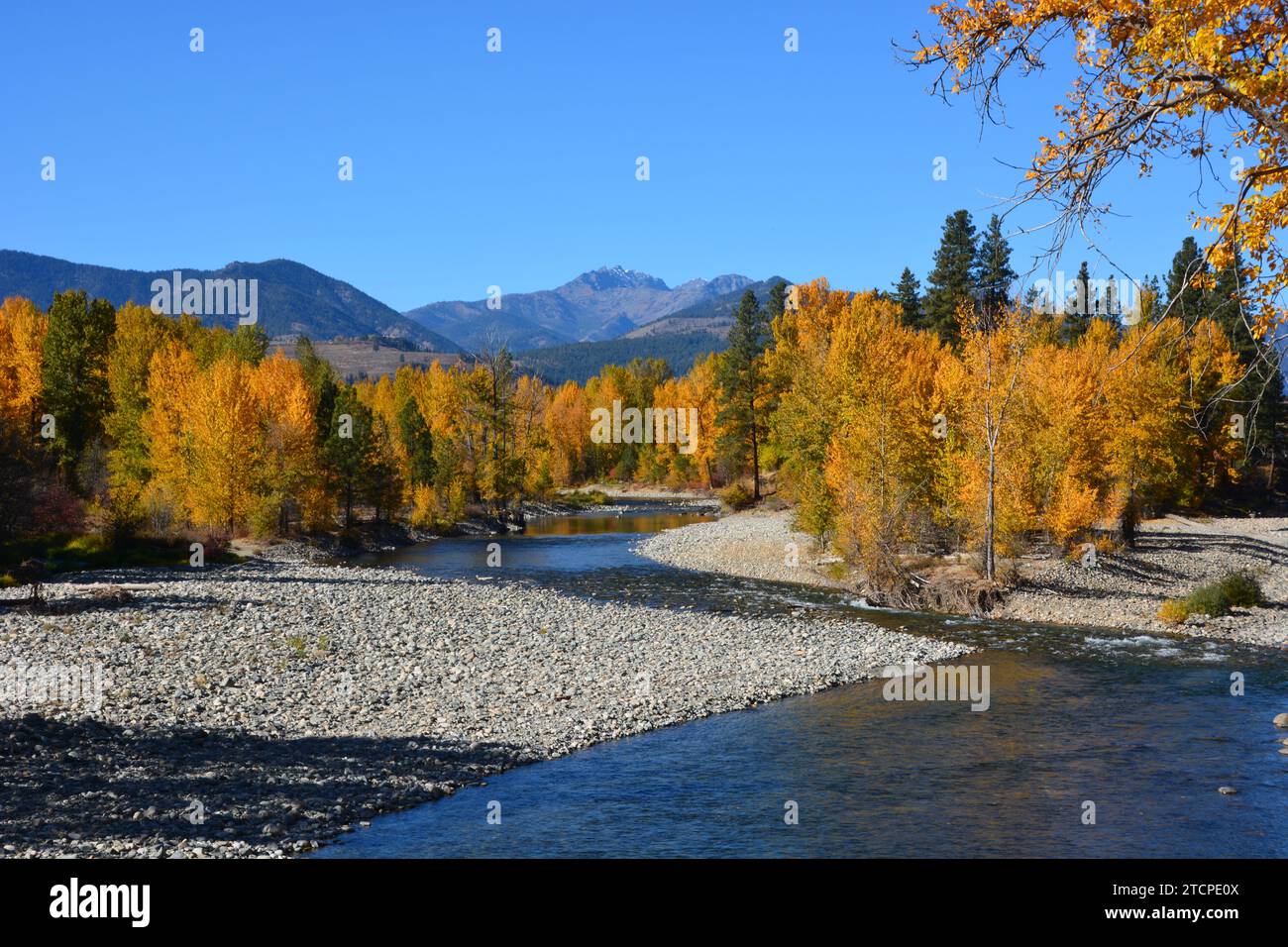 Fall colors of the Methow river in the old western town of Winthrop ...
