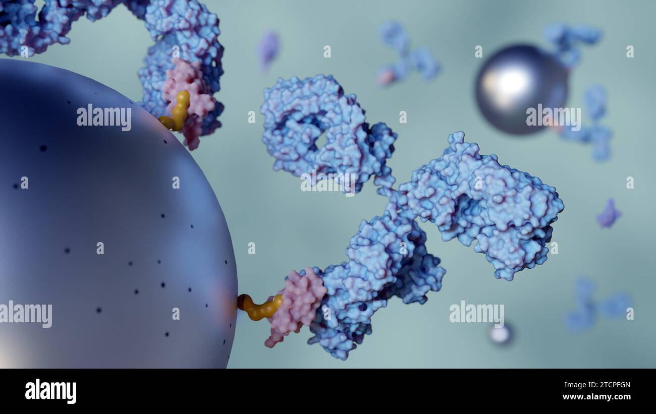 A close-up 3D rendering of antibody-conjugated magnetic nanoparticles ...
