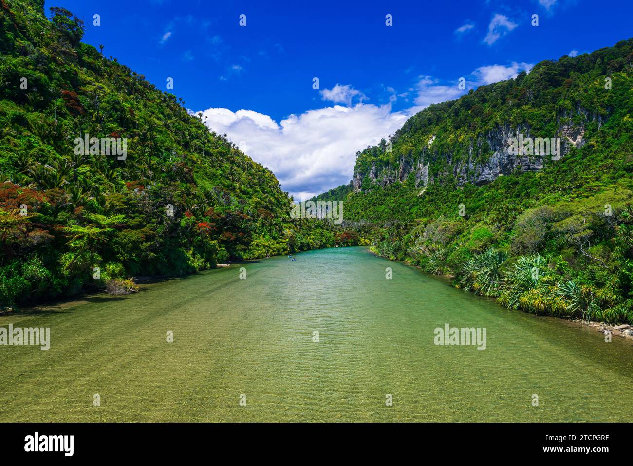 Kayaks on the Pororari River, Paparoa National Park, Punakaiki, New ...