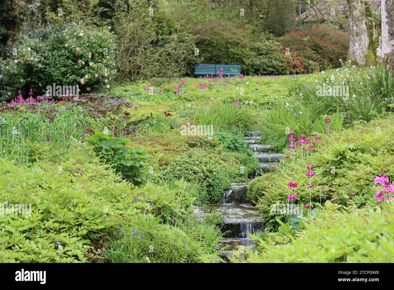View through a garden filled with pink flowers, with a stream and small ...