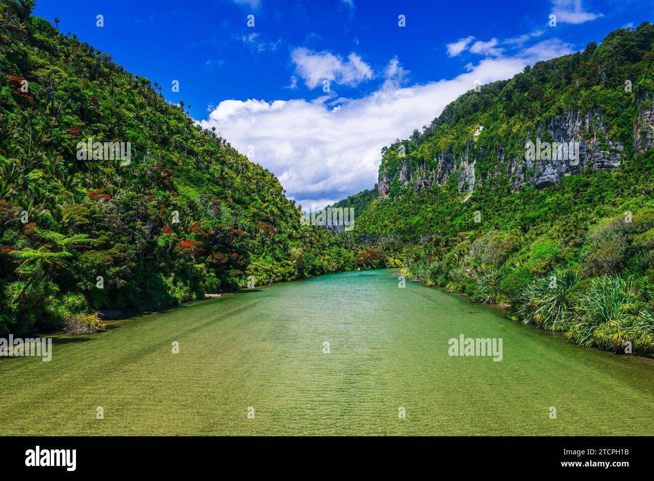 The Pororari River, Paparoa National Park, Punakaiki, New Zealand Stock ...