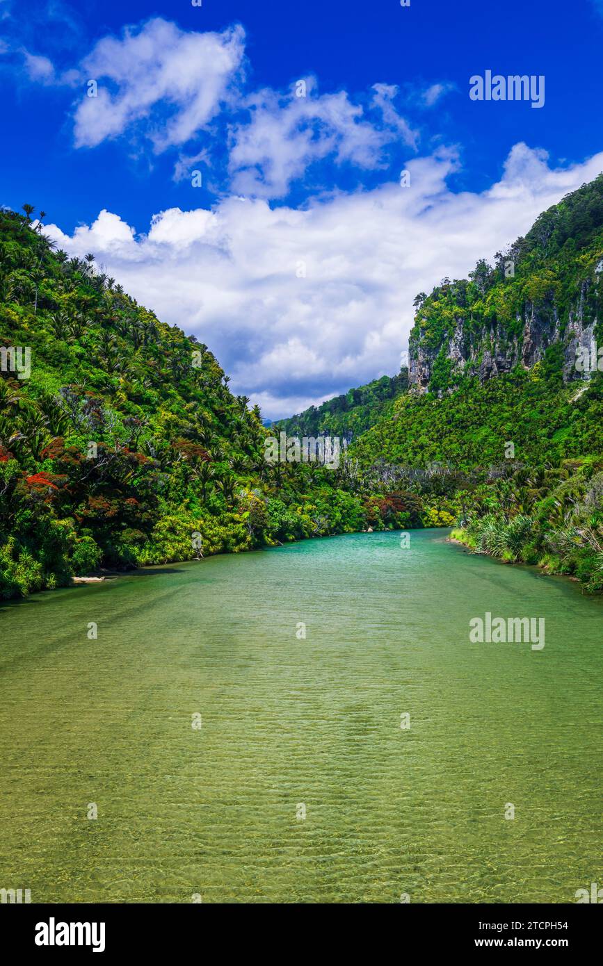 The Pororari River, Paparoa National Park, Punakaiki, New Zealand Stock ...