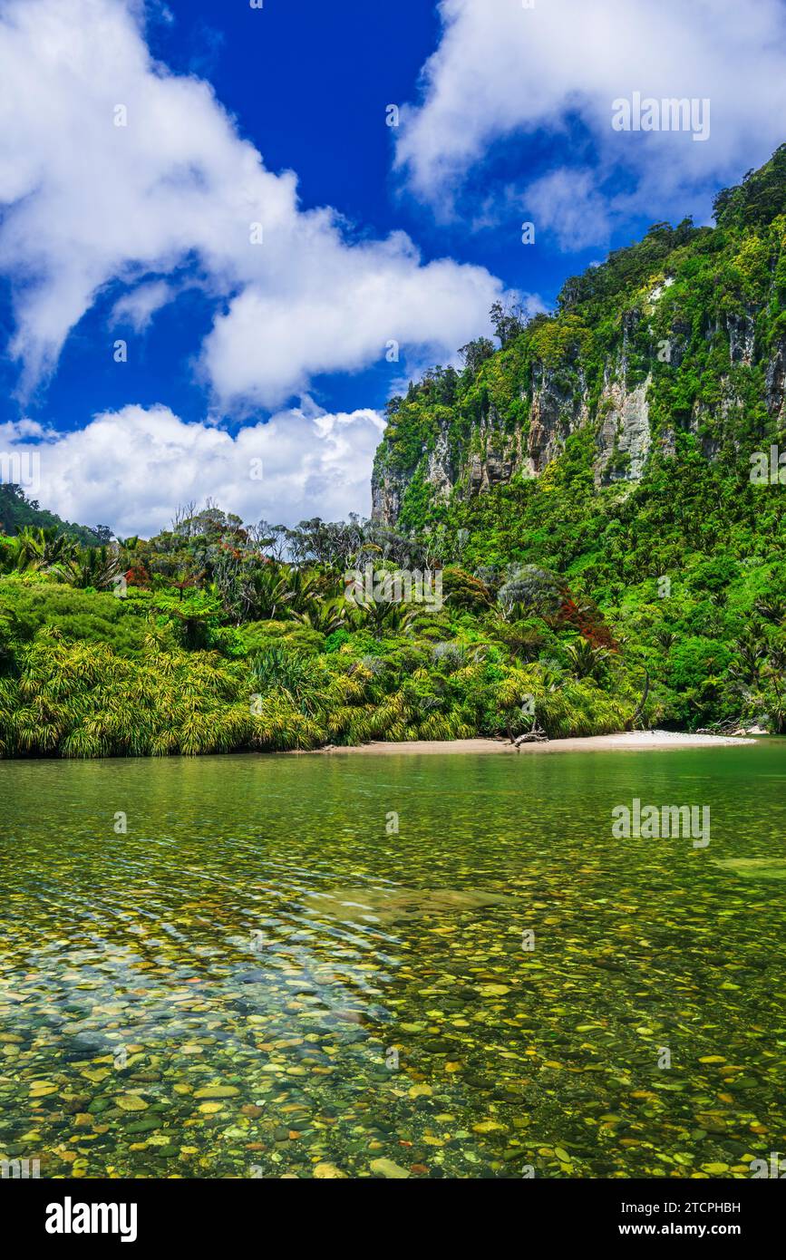 The Pororari River, Paparoa National Park, Punakaiki, New Zealand Stock ...
