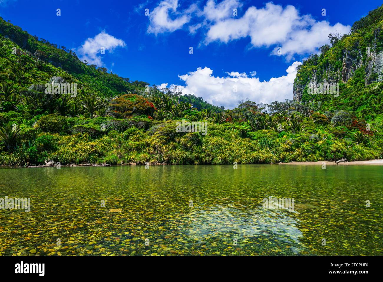 The Pororari River, Paparoa National Park, Punakaiki, New Zealand Stock ...