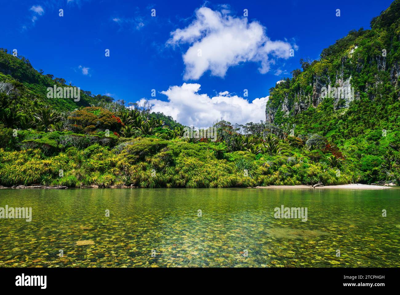 The Pororari River, Paparoa National Park, Punakaiki, New Zealand Stock ...