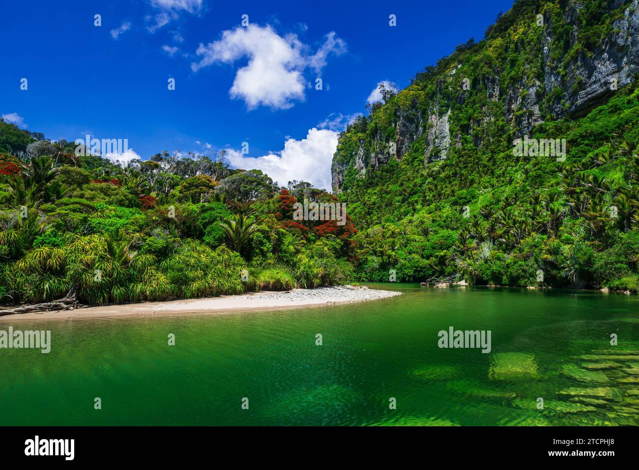 The Pororari River, Paparoa National Park, Punakaiki, New Zealand Stock ...