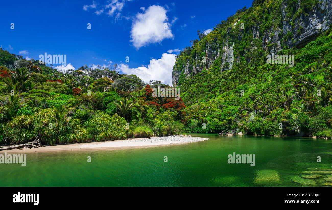 The Pororari River, Paparoa National Park, Punakaiki, New Zealand Stock ...