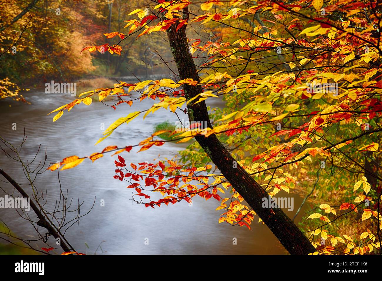 New Jersey Autumn Ambiance with The Lamington River, Tewskbury ...