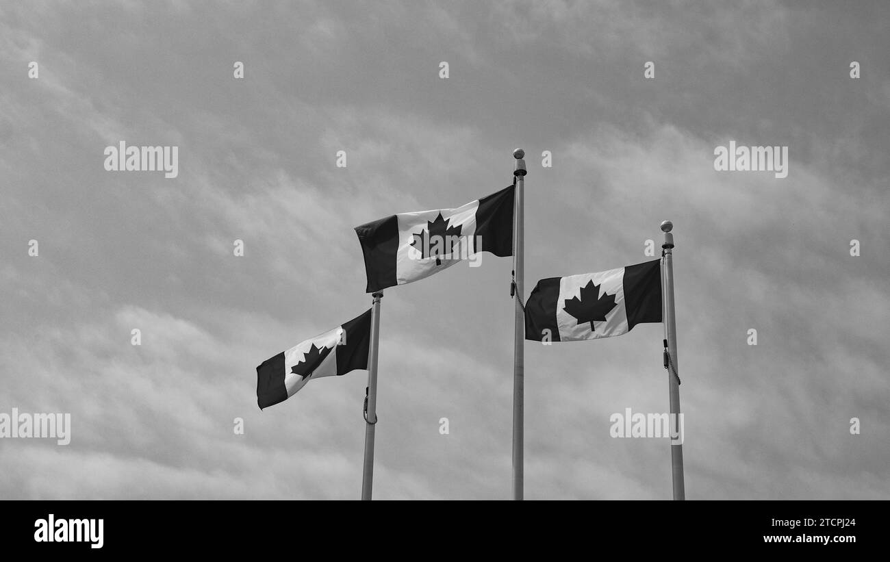 image with canadian flag of canada. canadian flag of canada. maple leaf ...