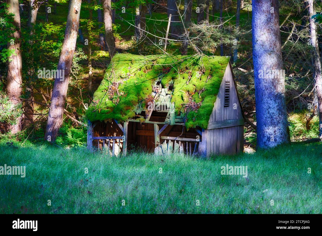 Cuttalossa hi-res stock photography and images - Alamy