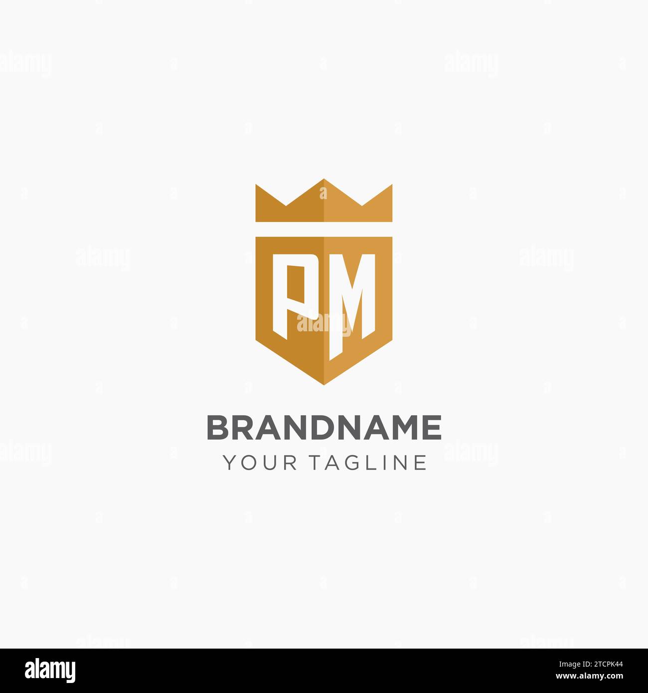 Monogram PM logo with geometric shield and crown, luxury elegant ...