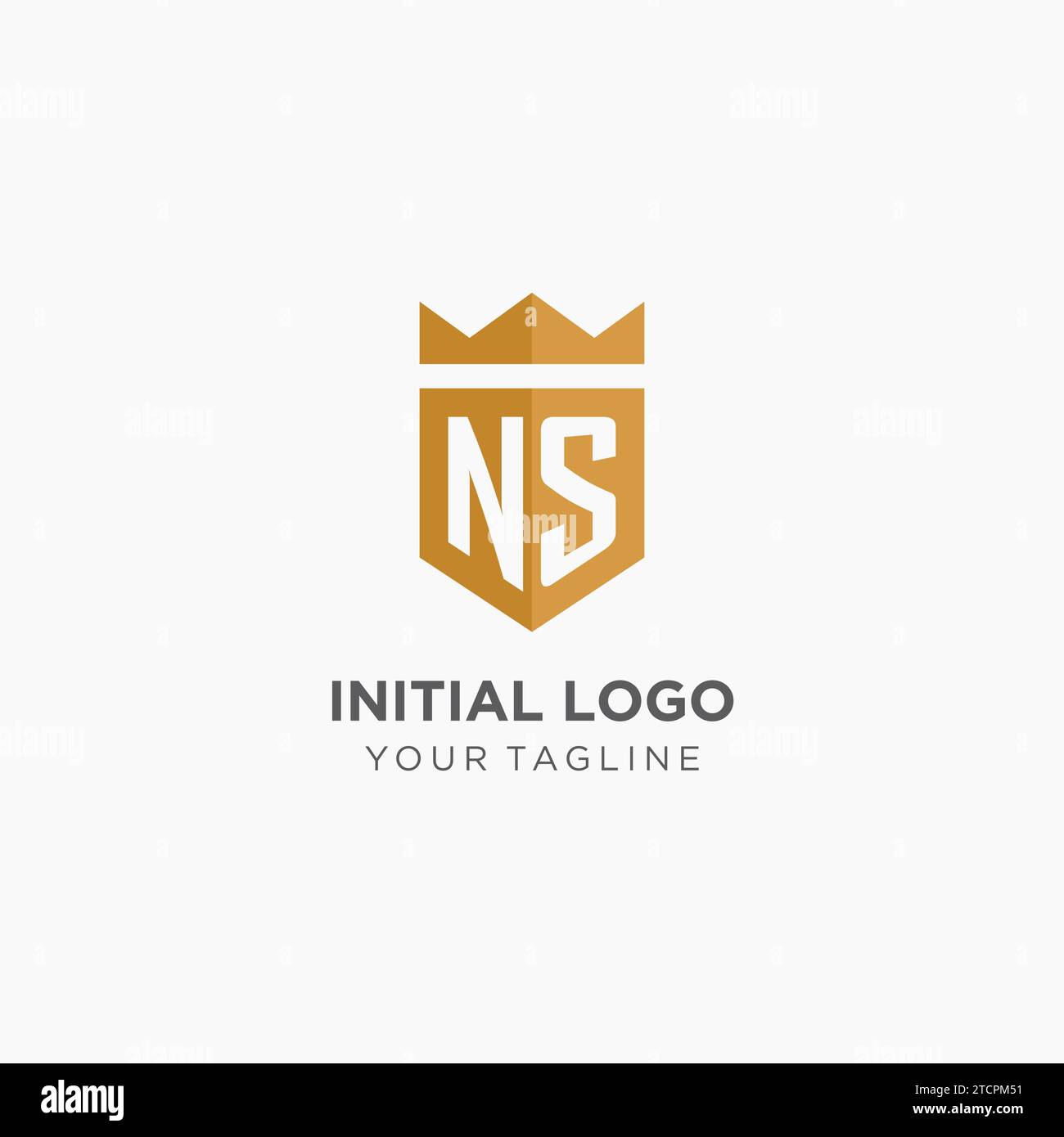 Monogram NS logo with geometric shield and crown, luxury elegant ...