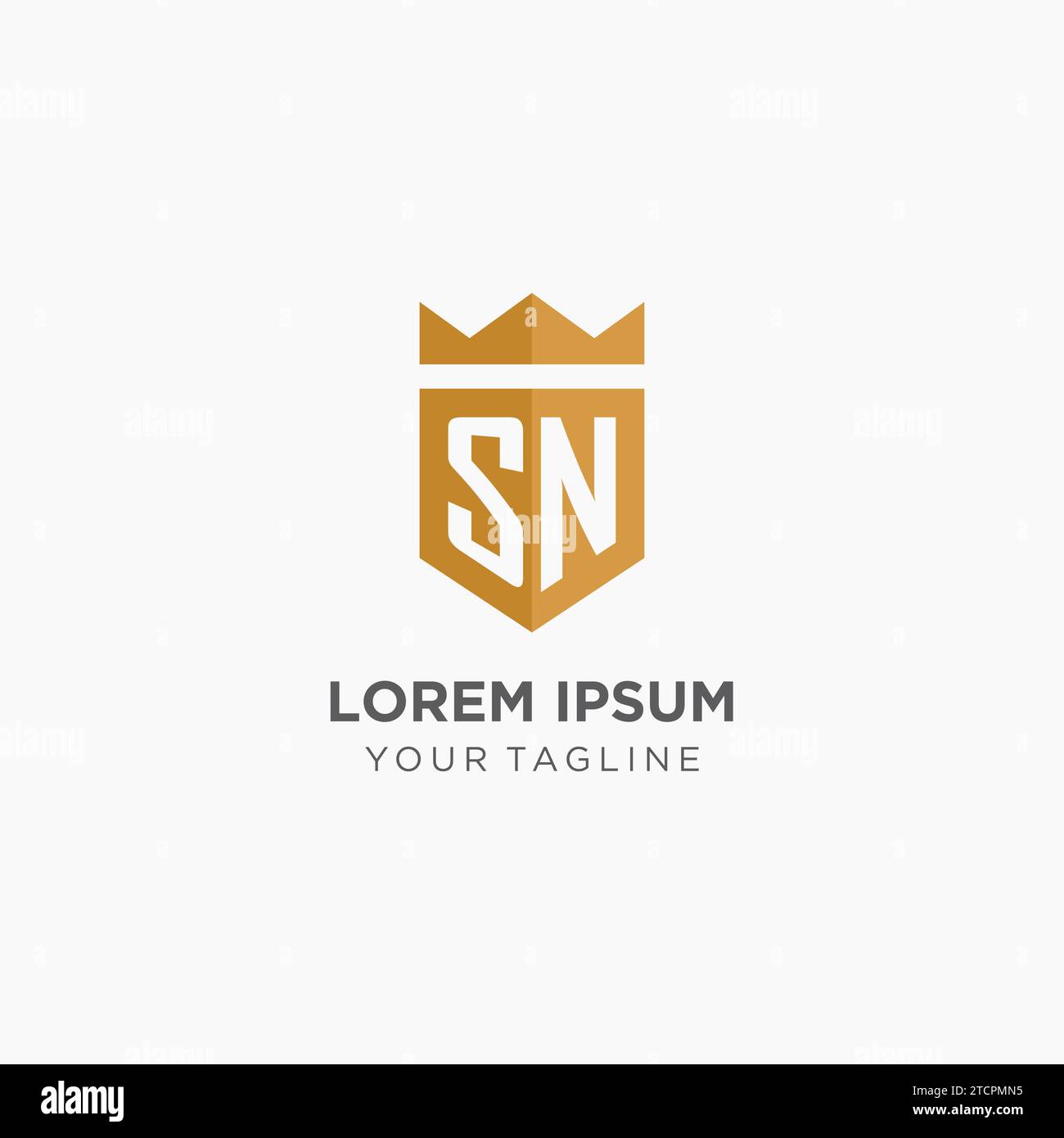 Monogram SN logo with geometric shield and crown, luxury elegant ...