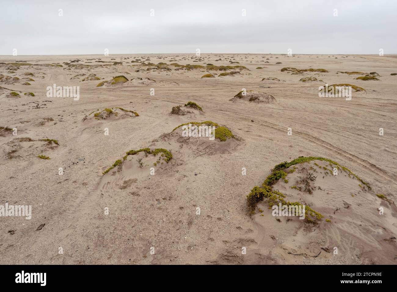 endless sand desert landscape near Skeleton Coast by gloomy day in ...