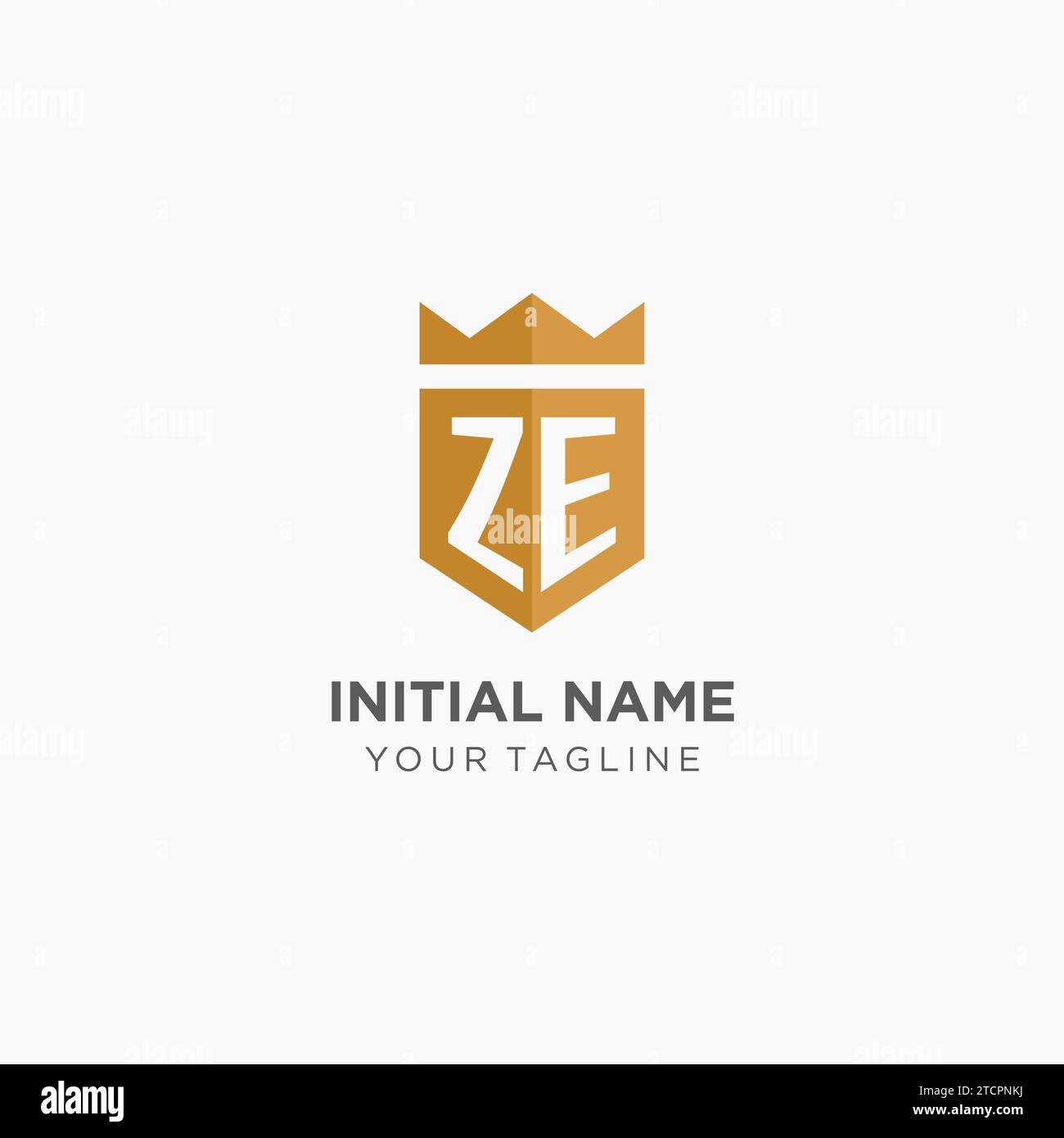 Monogram ZE logo with geometric shield and crown, luxury elegant initial logo design vector ...